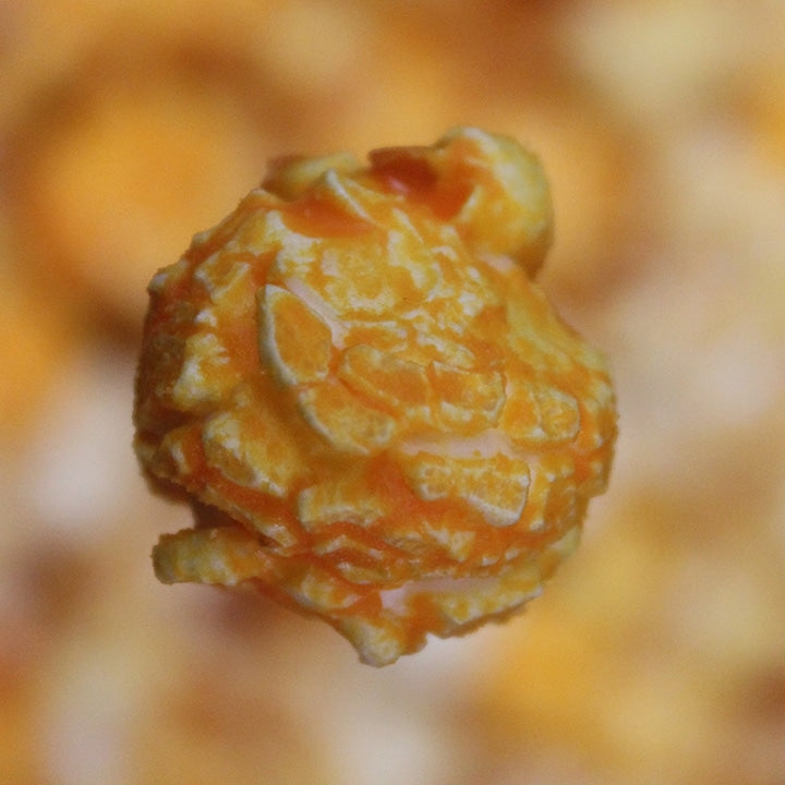 Shareable Gourmet Popcorn Bags | Individually Packed Popcorn Gifts from ...